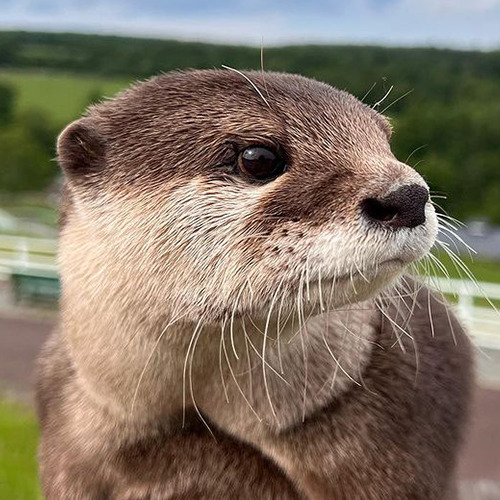 RHEI | Creator Solutions